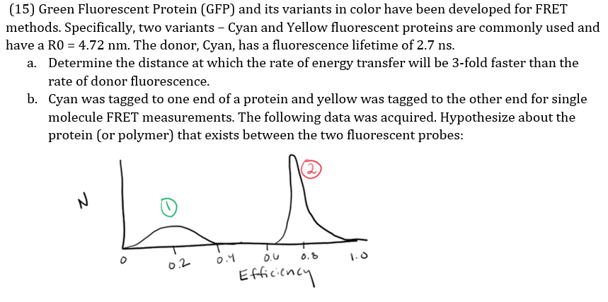 (15) Green Fluorescent Protein (GFP) and its variants | Chegg.com