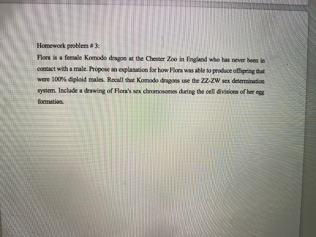 Solved Homework problem #3: Flora is a female Komodo dragon | Chegg.com