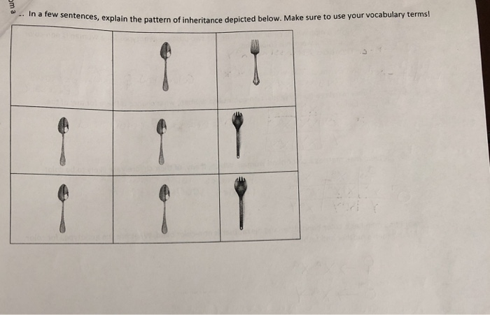Solved a. In a few sentences, explain the inheritance | Chegg.com