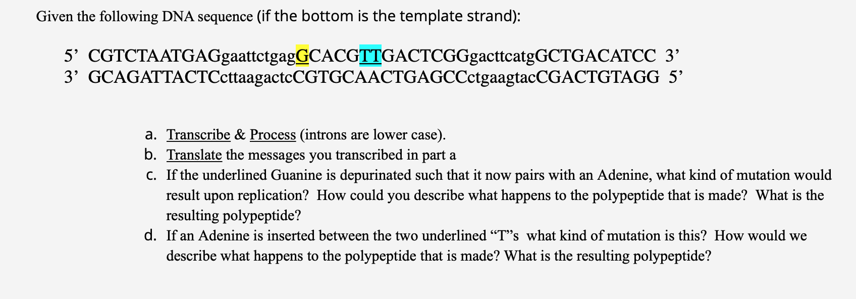 Solved Given the following DNA sequence (if the bottom is | Chegg.com
