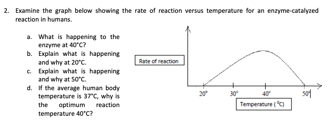 Solved 2. Examine the graph below showing the rate of | Chegg.com