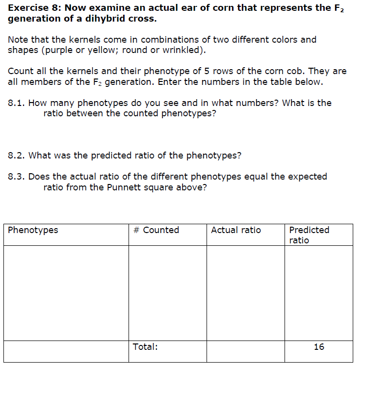 Solved Exercise 8: Now examine an actual ear of corn that | Chegg.com