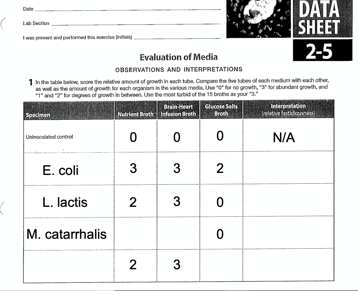 Solved Please rate the following organisms as most | Chegg.com