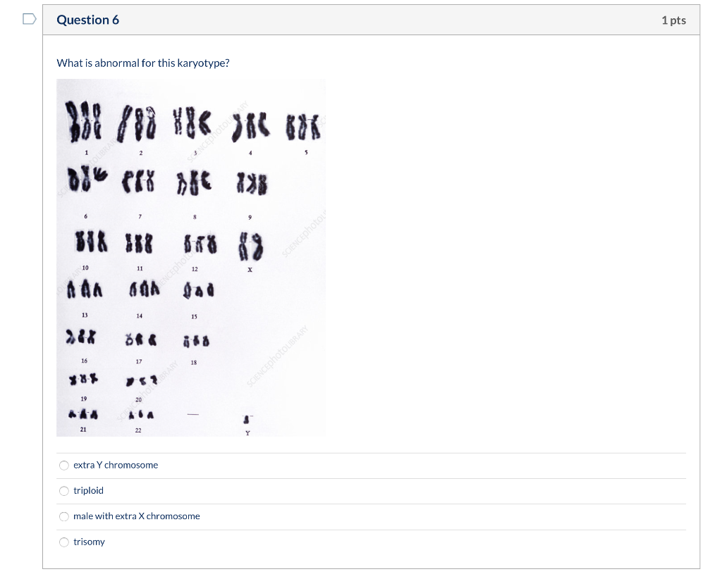 Solved Question 1 1 pts A triploid embryo can result when O | Chegg.com