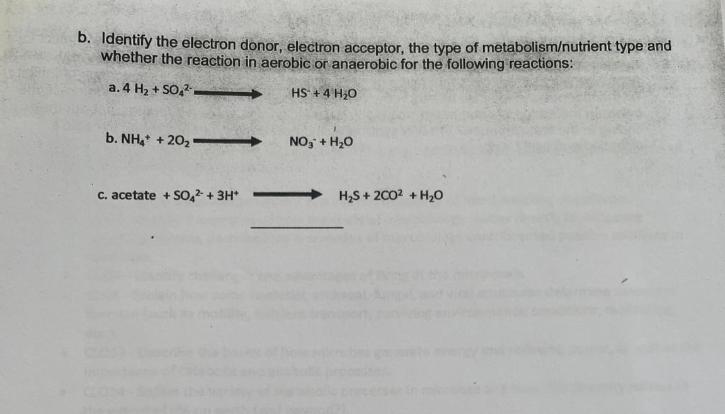 Solved B Identify The Electron Donor Electron Acceptor
