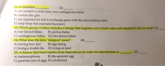 Solved Swim bladders A) are present in both bony and | Chegg.com