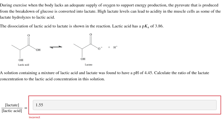 Solved During exercise when the body lacks an adequate | Chegg.com