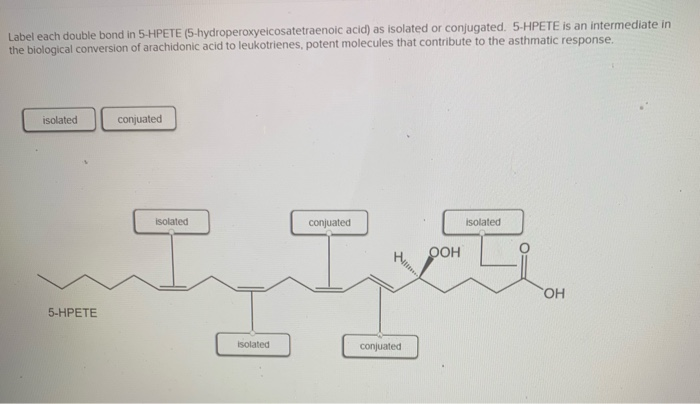 Solved Label each double bond in 5-HPETE | Chegg.com