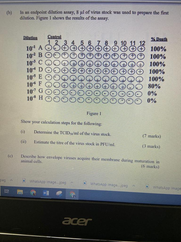 Solved (b) In an endpoint dilution assay, 8 pl of virus | Chegg.com