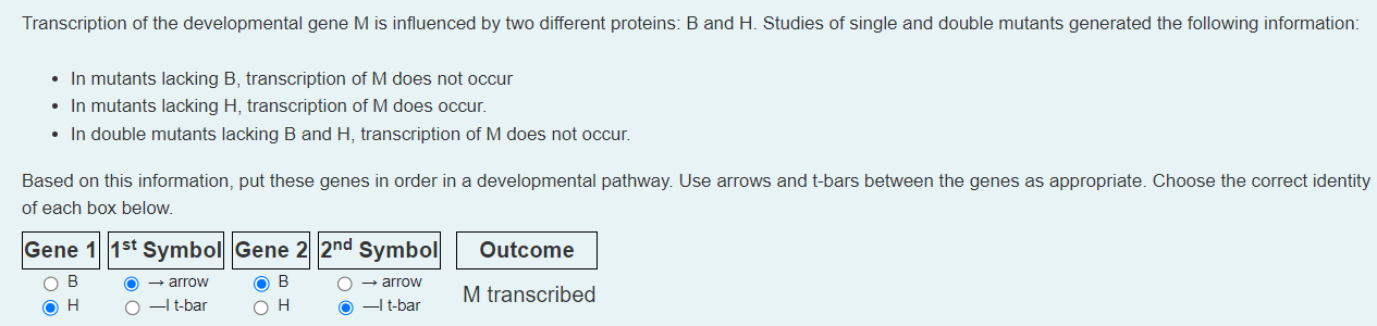 Solved Transcription of the developmental gene M is | Chegg.com