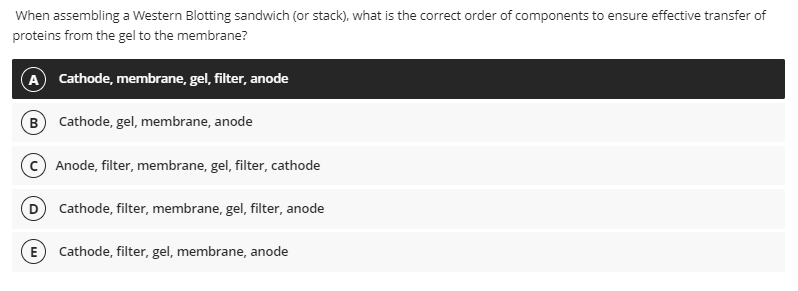 Solved When assembling a Western Blotting sandwich (or | Chegg.com