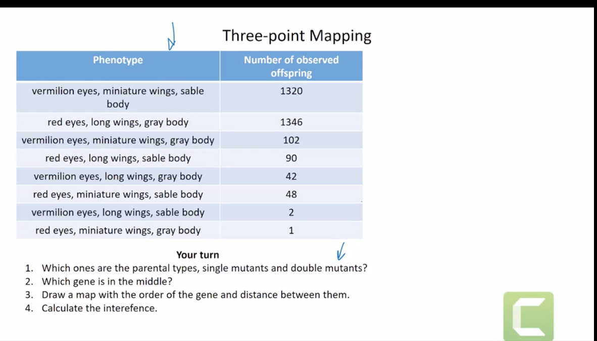 Solved Three-point Mapping Phenotype Number of observed | Chegg.com