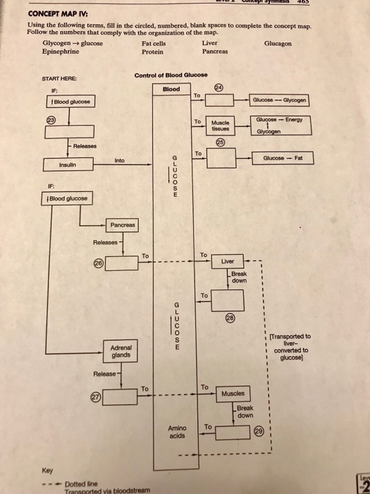 Solved Use the following terms to fill in the blanks of the | Chegg.com