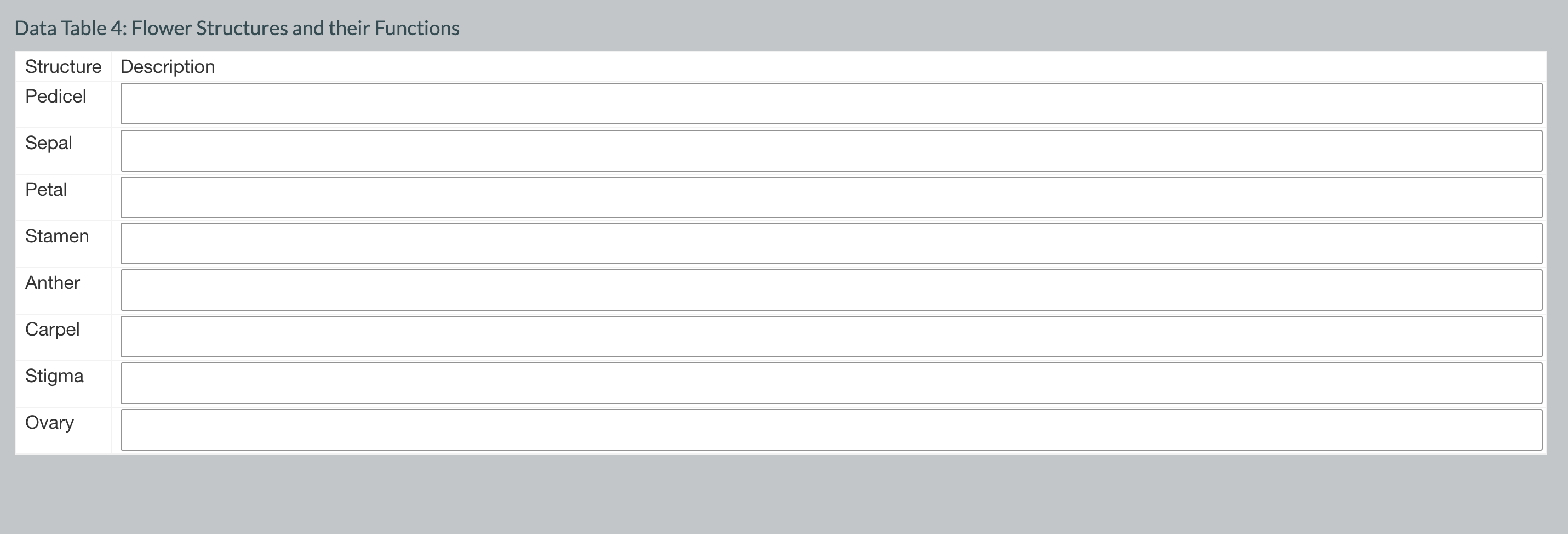 Solved Describe the structure, function, and/or purpose of | Chegg.com