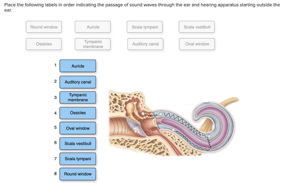 Solved I am think I did this correctly but can you let me | Chegg.com