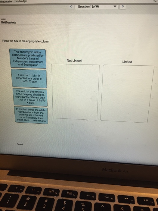 Solved Place the box in the appropriate column. | Chegg.com
