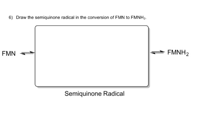 Solved 6) Draw the semiquinone radical in the conversion of | Chegg.com