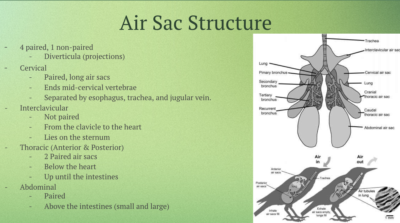 Solved Topics to be covered: 1. Structure/Function: What is | Chegg.com