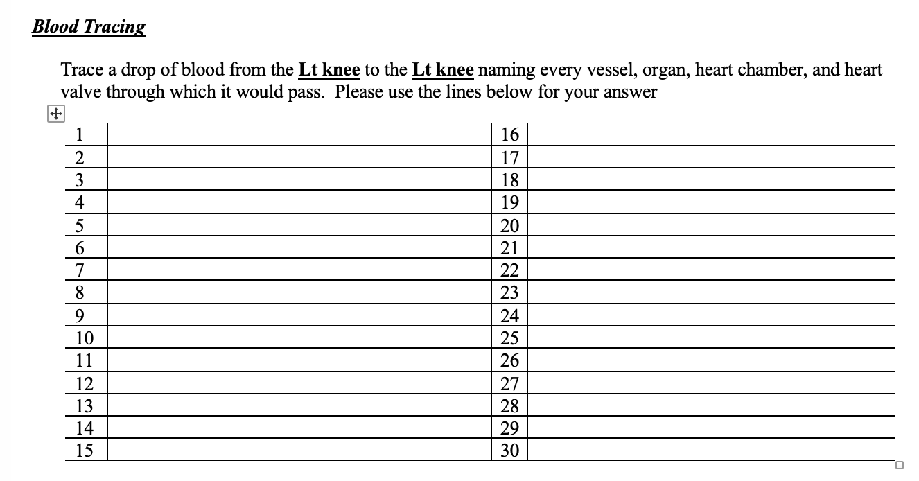 Solved Blood Tracing Trace a drop of blood from the Lt knee | Chegg.com