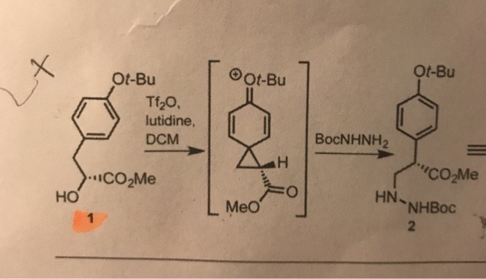 Solved Ot-Bu OOt-Bu Ot-Bu Tf2O, DCM Co2Me CO2Me NHBoc 2 HO L | Chegg.com