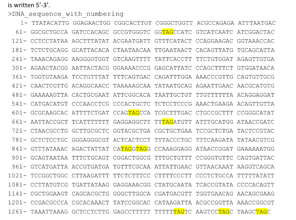 Solved is written 5'-3'. DNA sequence with numbering | Chegg.com