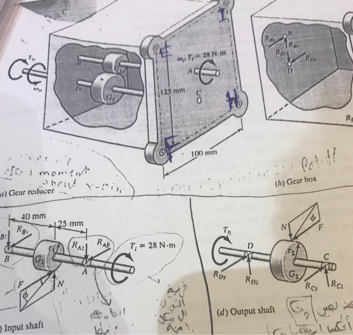 Solved Figure 3-la shows a simplified rendition of a gear | Chegg.com