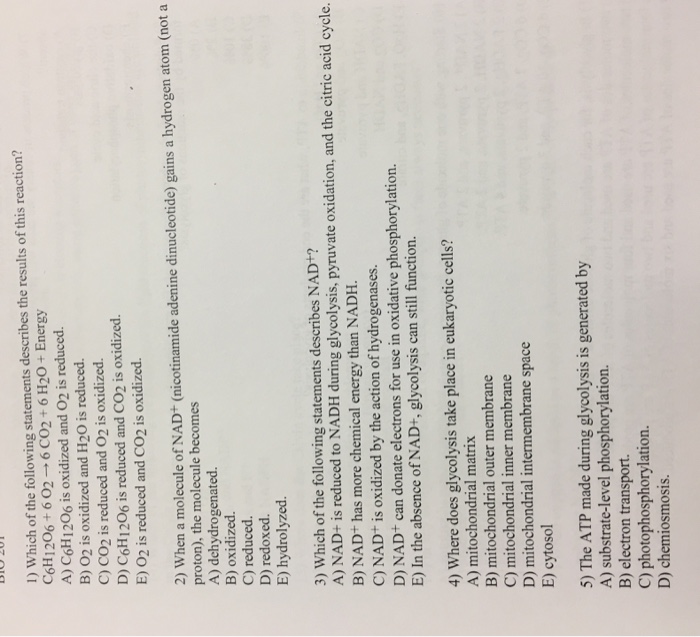 Solved Which of the following statements describes the | Chegg.com