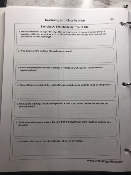Solved Taxonomy and Classification 80 Exercise A: The | Chegg.com
