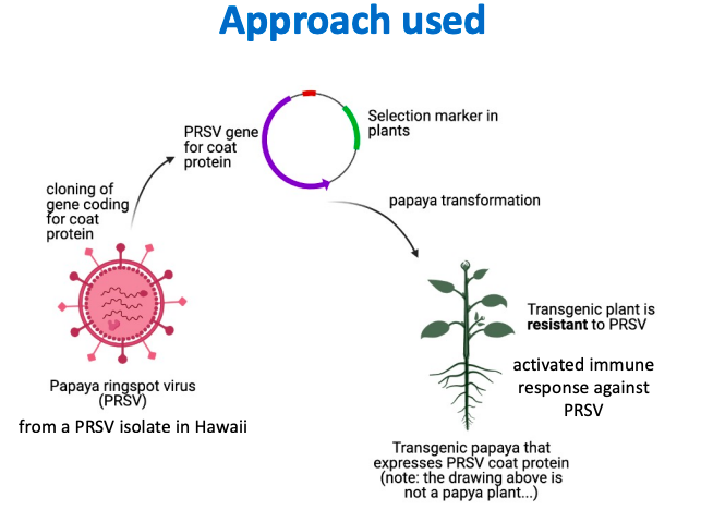 Explain the concept of “pathogen-derived resistance” | Chegg.com