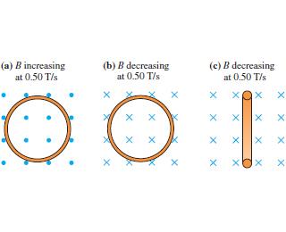 Solved (Figure 1) shows a 13-cm-diameter loop in | Chegg.com