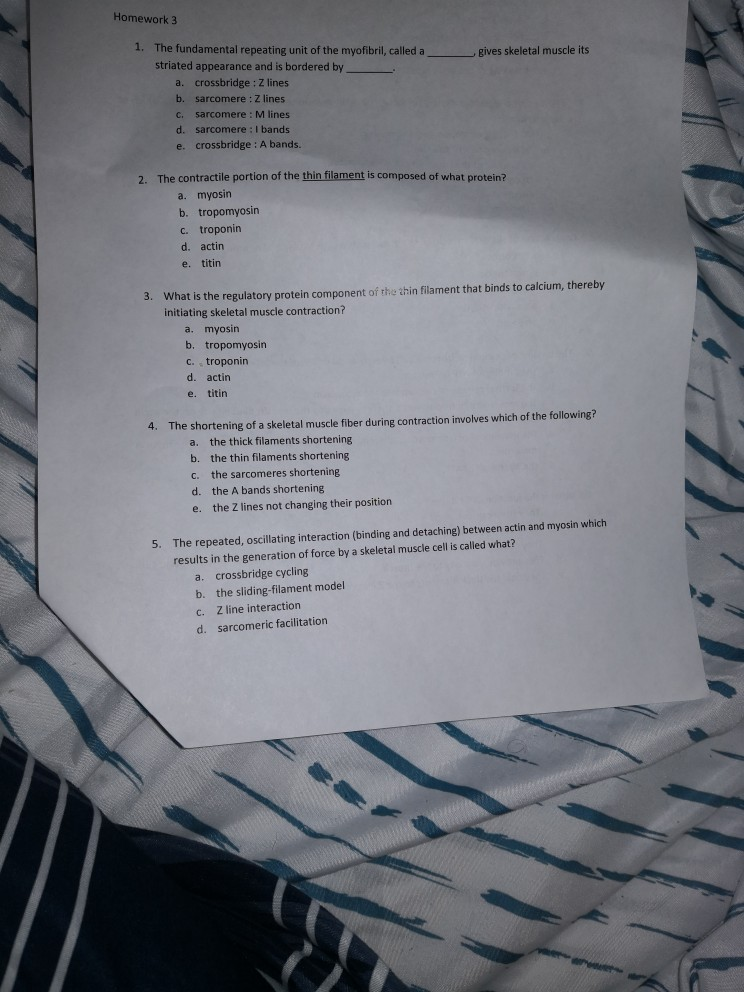 Solved Homework 3 1. The fundamental repeating unit of the | Chegg.com