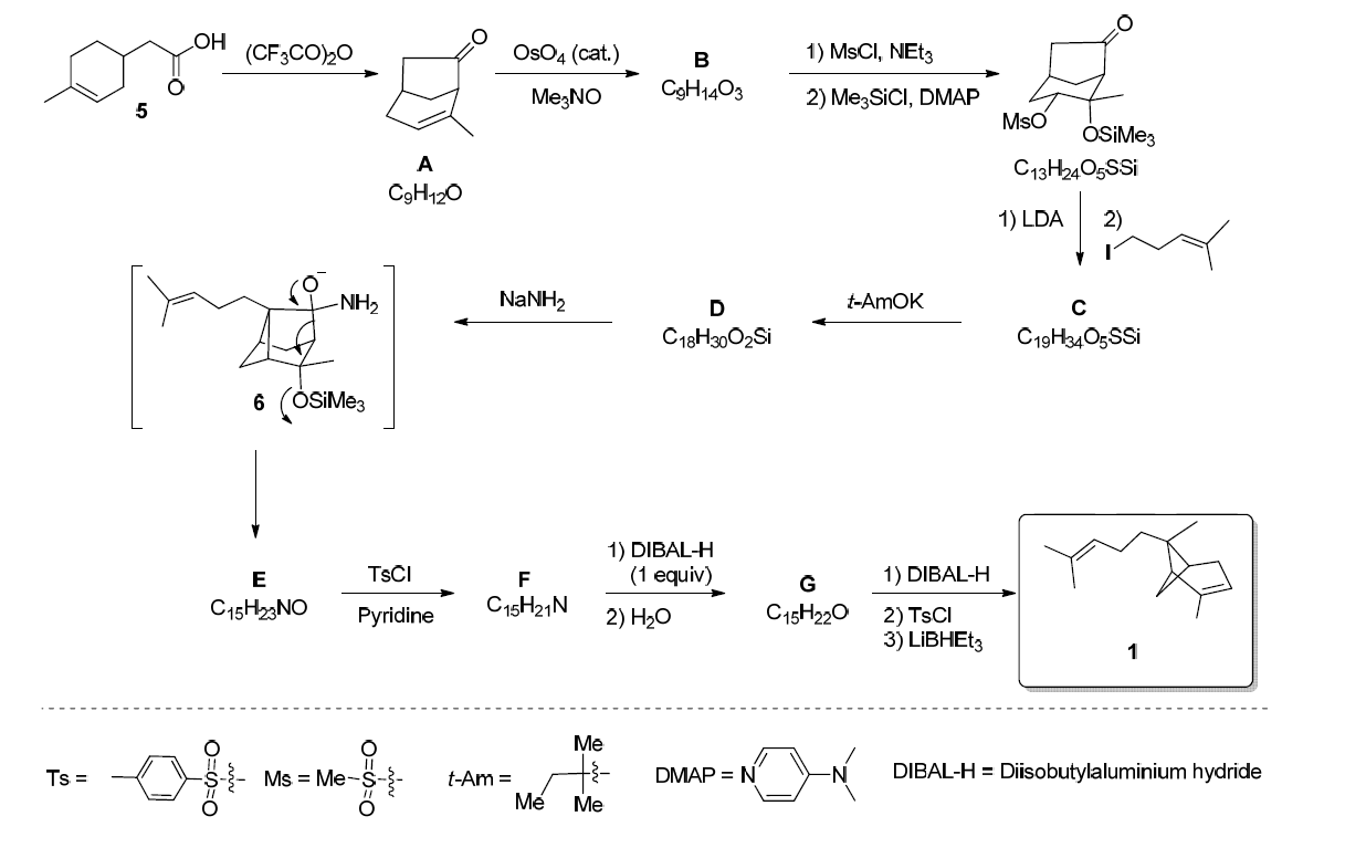 Solved What is the function of Me3NO in the transformation | Chegg.com