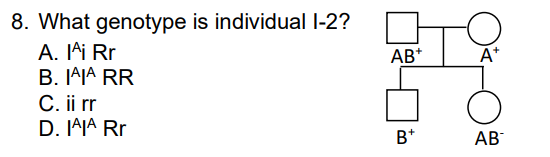 Solved Why is the I-2 genotype IAi Rr? (Answer Key says its | Chegg.com