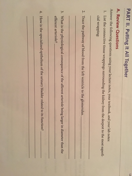 Solved PART II. Putting It All Together A. Review Questions | Chegg.com