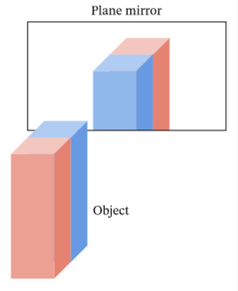 Solved Which of the following are true about plane mirrors? | Chegg.com