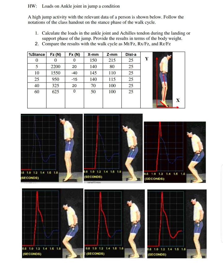 HW: Loads on Ankle joint in jump a condition A high | Chegg.com