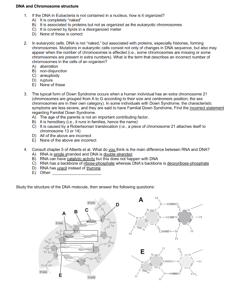 Solved DNA and Chromosome structure 1. If the DNA in | Chegg.com