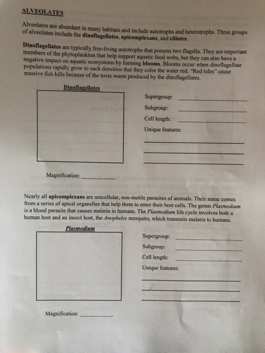 Solved ALVEOLATES Alveolates are abundant in many habitats | Chegg.com