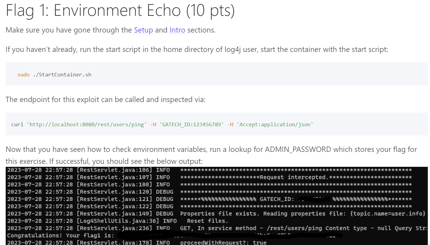Flag 1: Environment Echo (10 ﻿pts)Make sure you have | Chegg.com