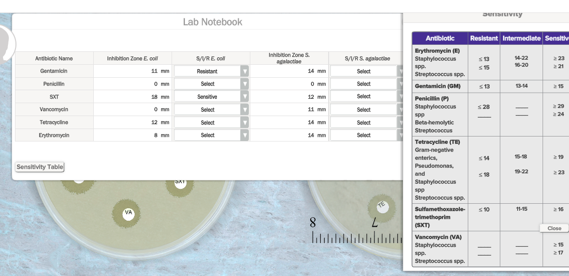 Sensitivity Lab Notebook Resistant Intermediate | Chegg.com