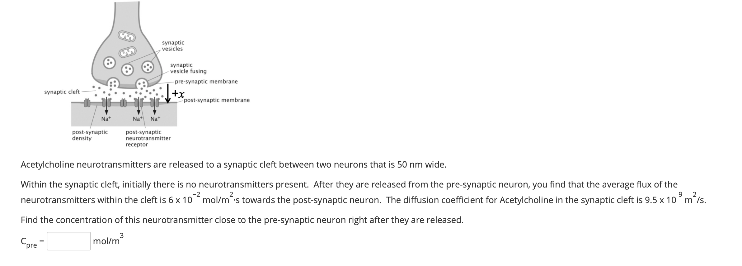 Solved synaptic vesicles synaptic vesicle fusing | Chegg.com