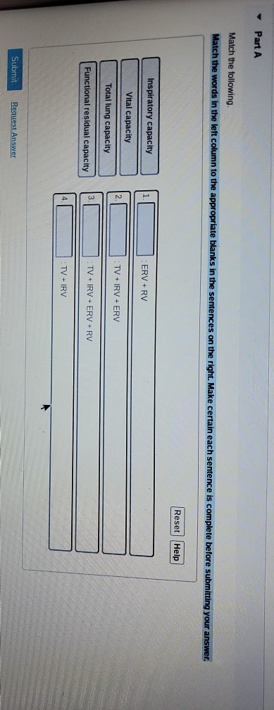 Solved Part A Match the following. Match the words in the | Chegg.com