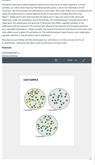 Mendelian inheritance pattems apply to plants, just | Chegg.com