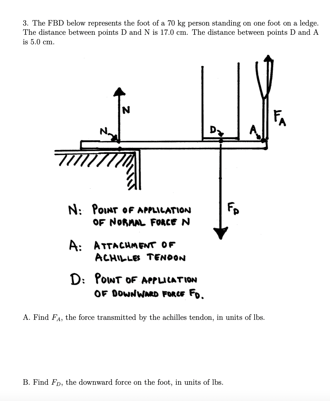 Solved The FBD below represents the foot of a 70kg ﻿person | Chegg.com