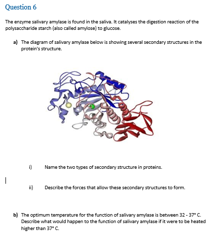 Amylase Enzyme Structure