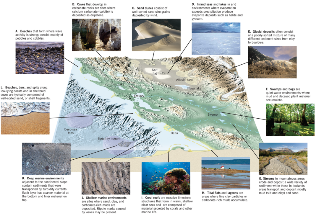 Solved Activity 2.7: Identifying Sedimentary Environments 1. | Chegg.com