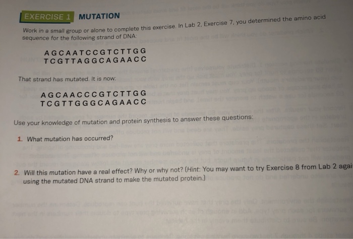 Solved EXERCISE 1 MUTATION eork in a small group or alone to | Chegg.com