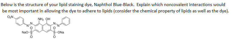 Solved Below is the structure of your lipid staining dye, | Chegg.com