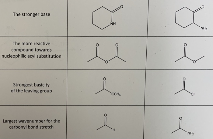 Solved The stronger base NH NH2 The more reactive compound | Chegg.com