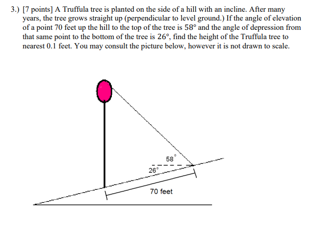 Solved 3.) [7 points] A Truffula tree is planted on the side | Chegg.com